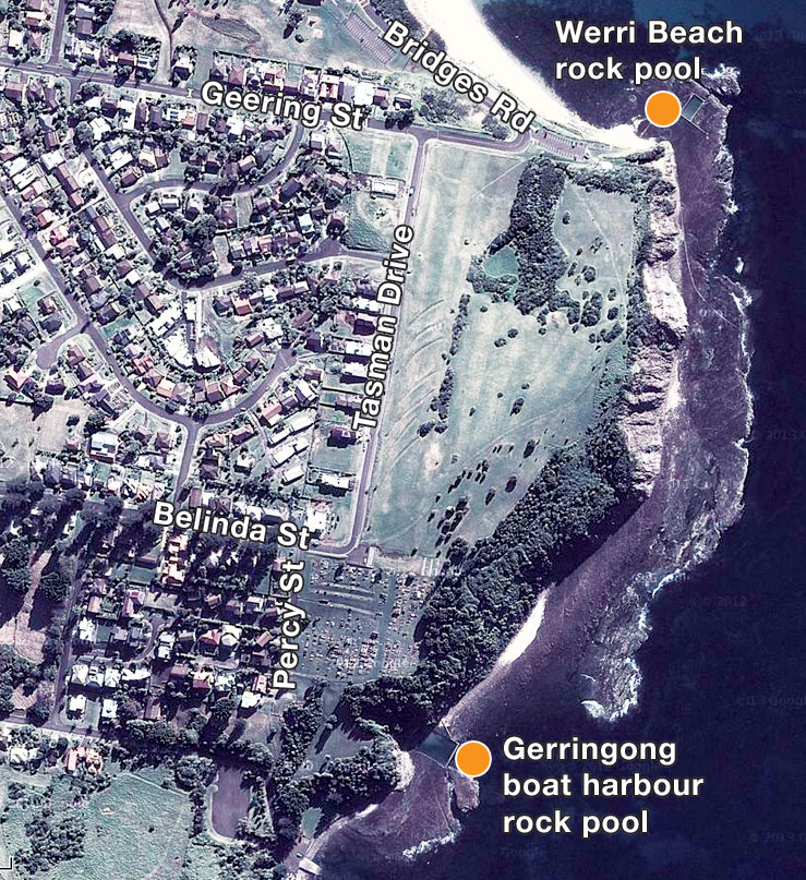 Gerringong's his and her rock pools | Illawarra Mercury | Wollongong, NSW